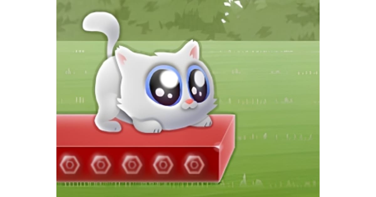 Extreme Kitten - Play Free Extreme Kitten Online
